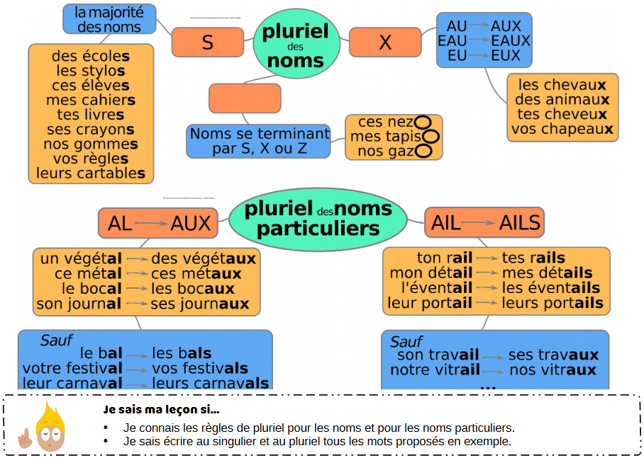 Le Pluriel Des Noms cole Primaire Et C Freinet Le Pluriel Des Noms cole Primaire Et C Freinet